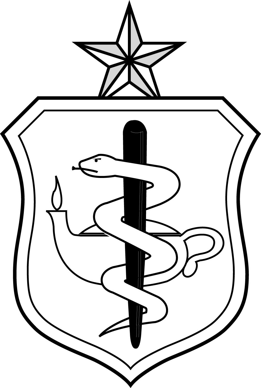 Nurse Corps badge