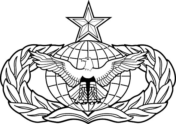 Force Protection Badge-Senior