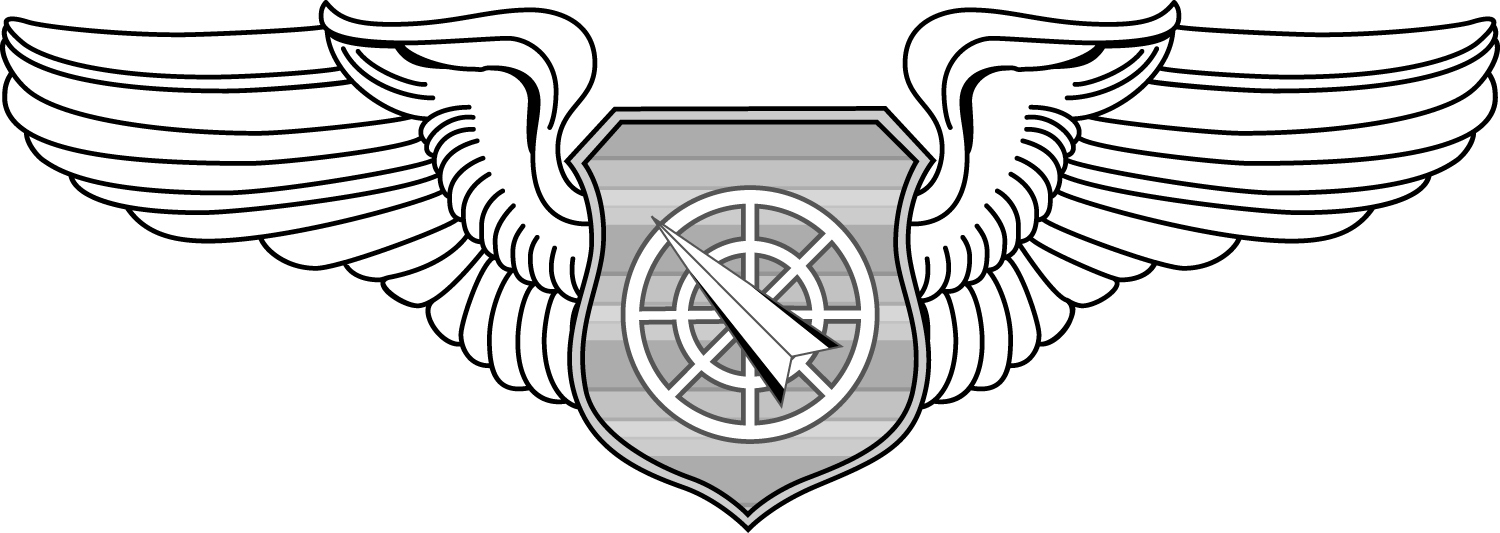 Air Battle Manager badge