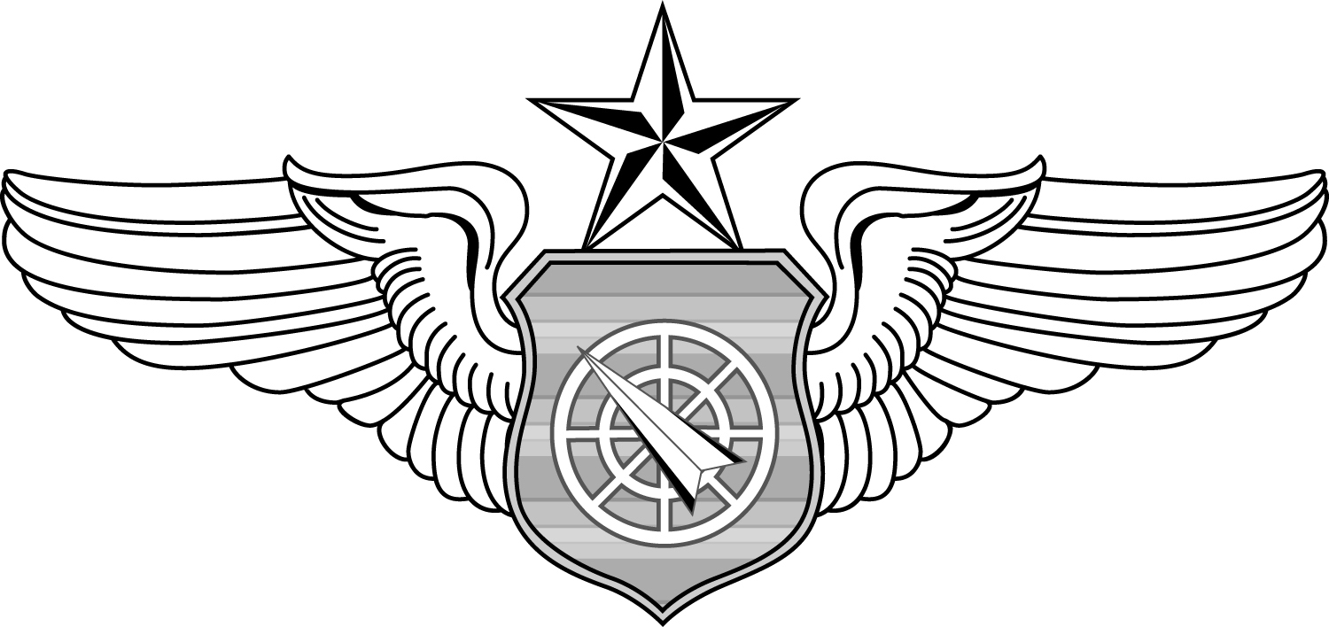 Air Battle Manager badge