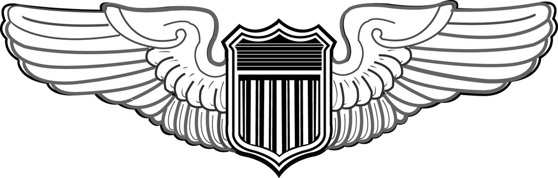 Pilot badge