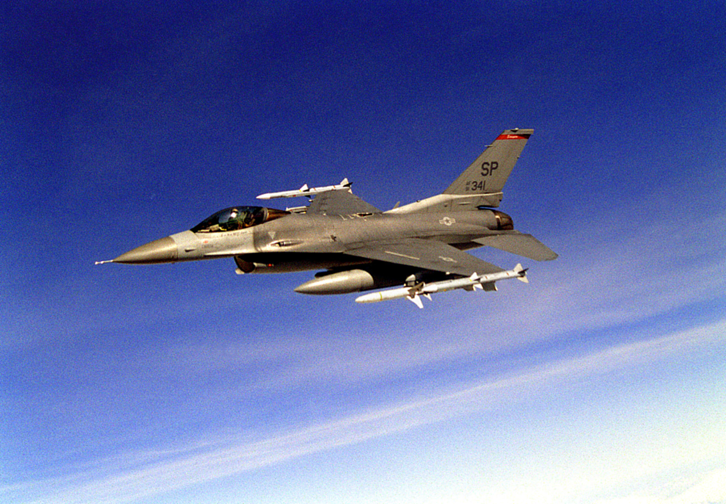 Soaring Falcon