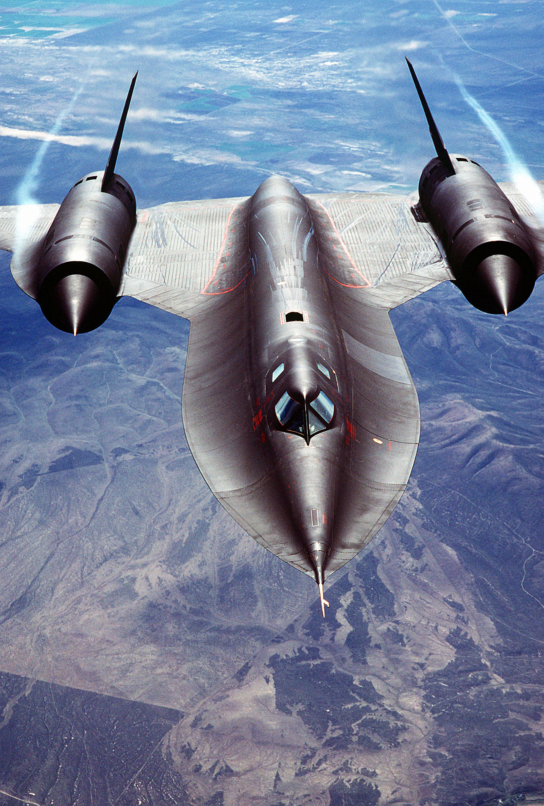 Blackbird