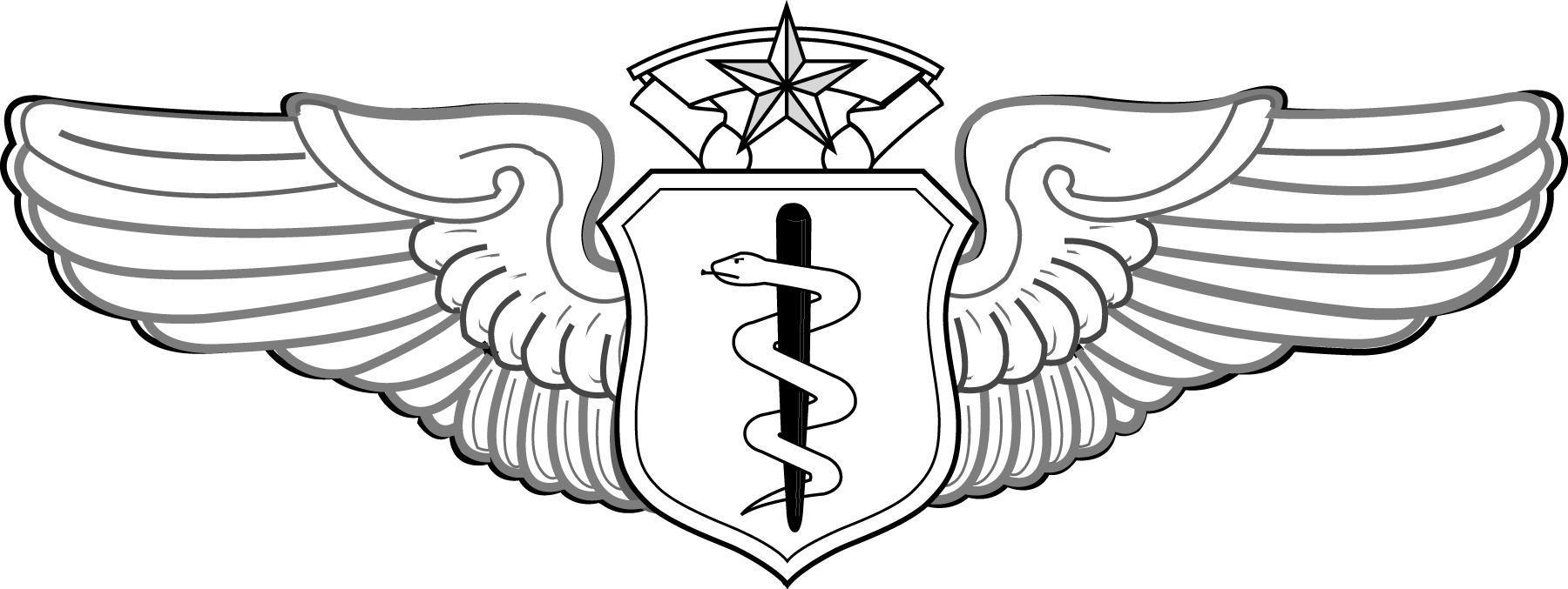 Flight Surgeon badge