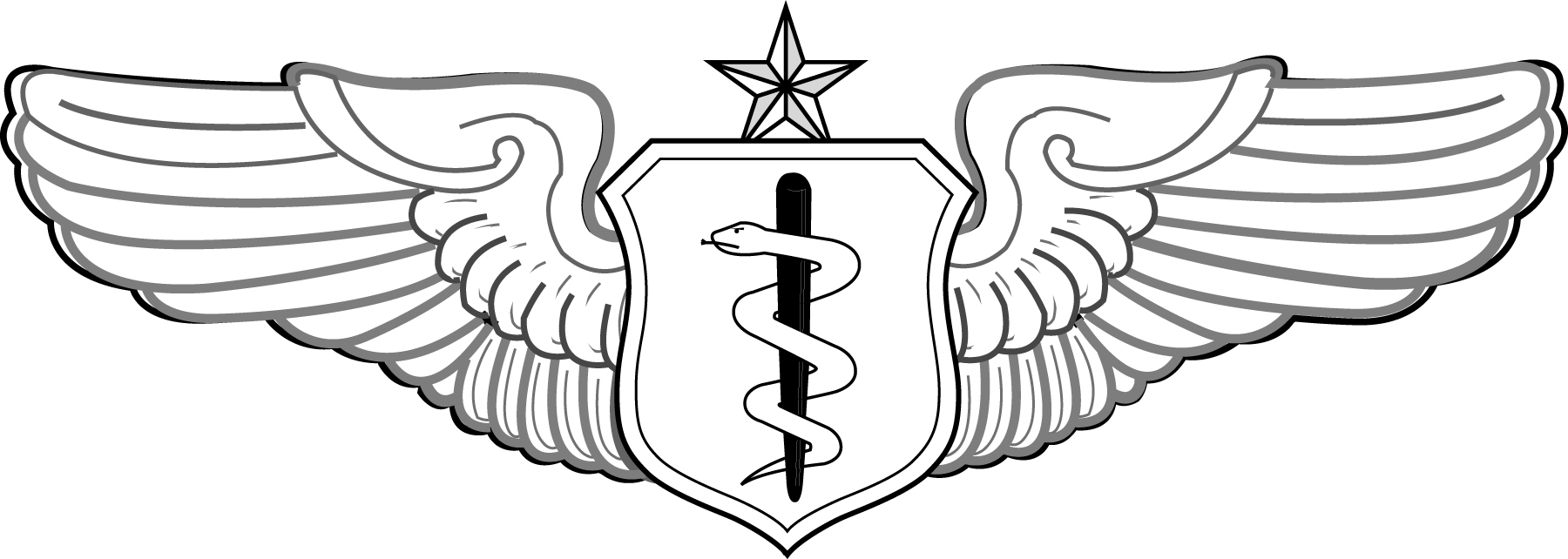 Flight Surgeon badge