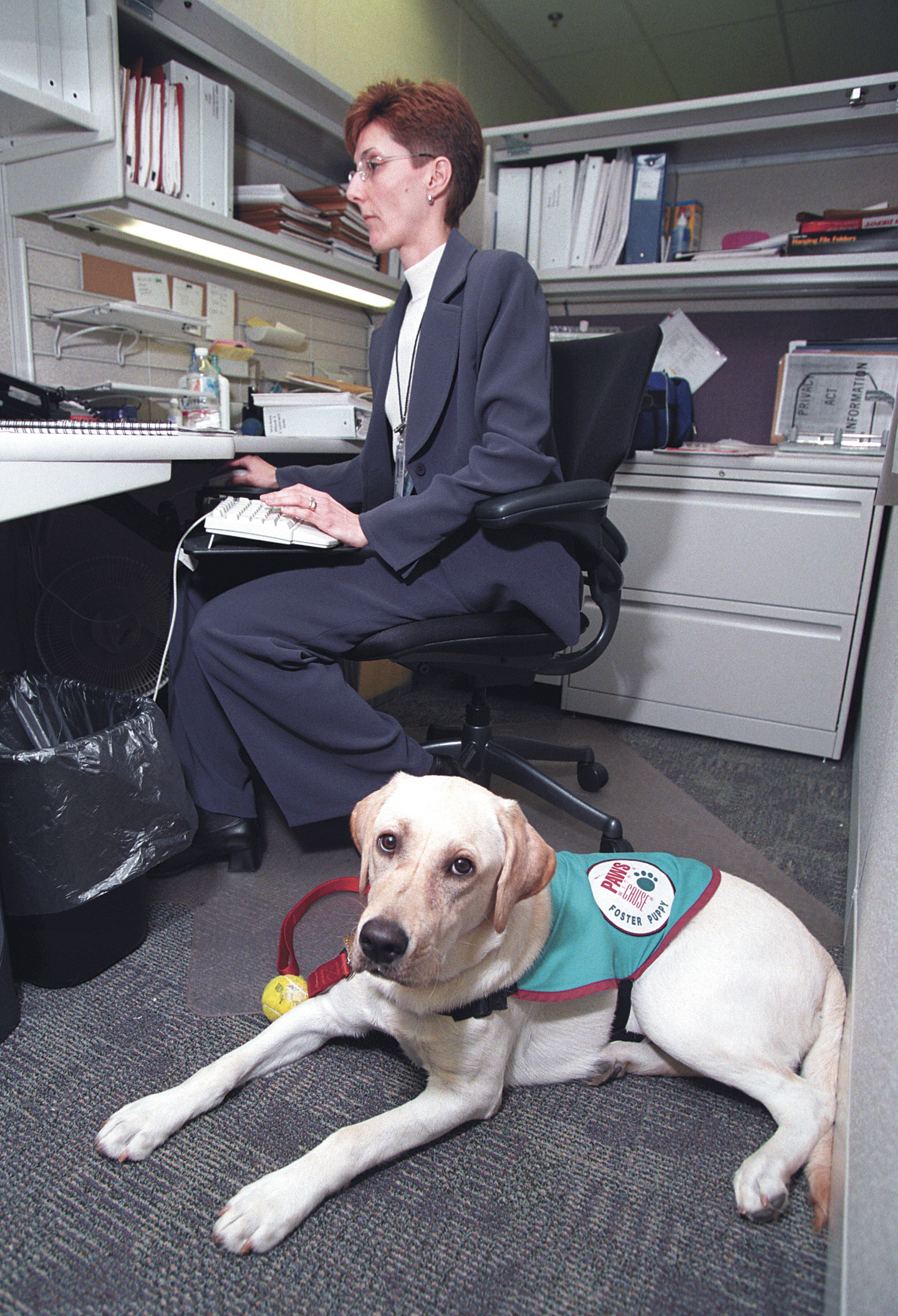 Tinker couple fosters future service dogs > Air Force > Article Display