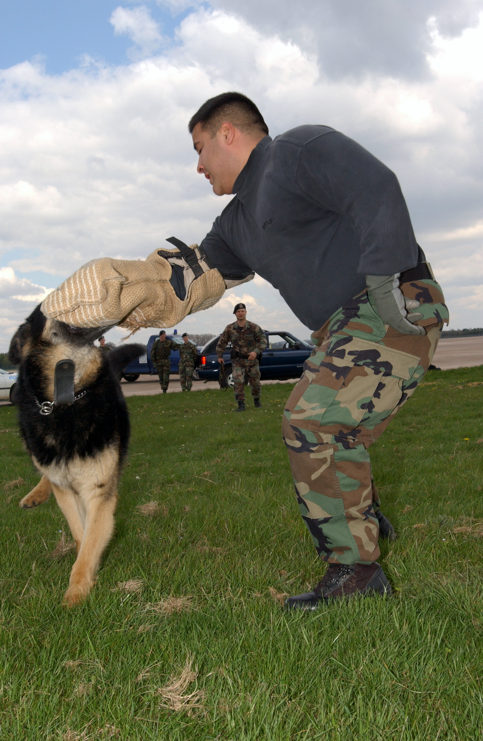 Biting the suspect