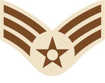 Enlisted Ranks - Page 3