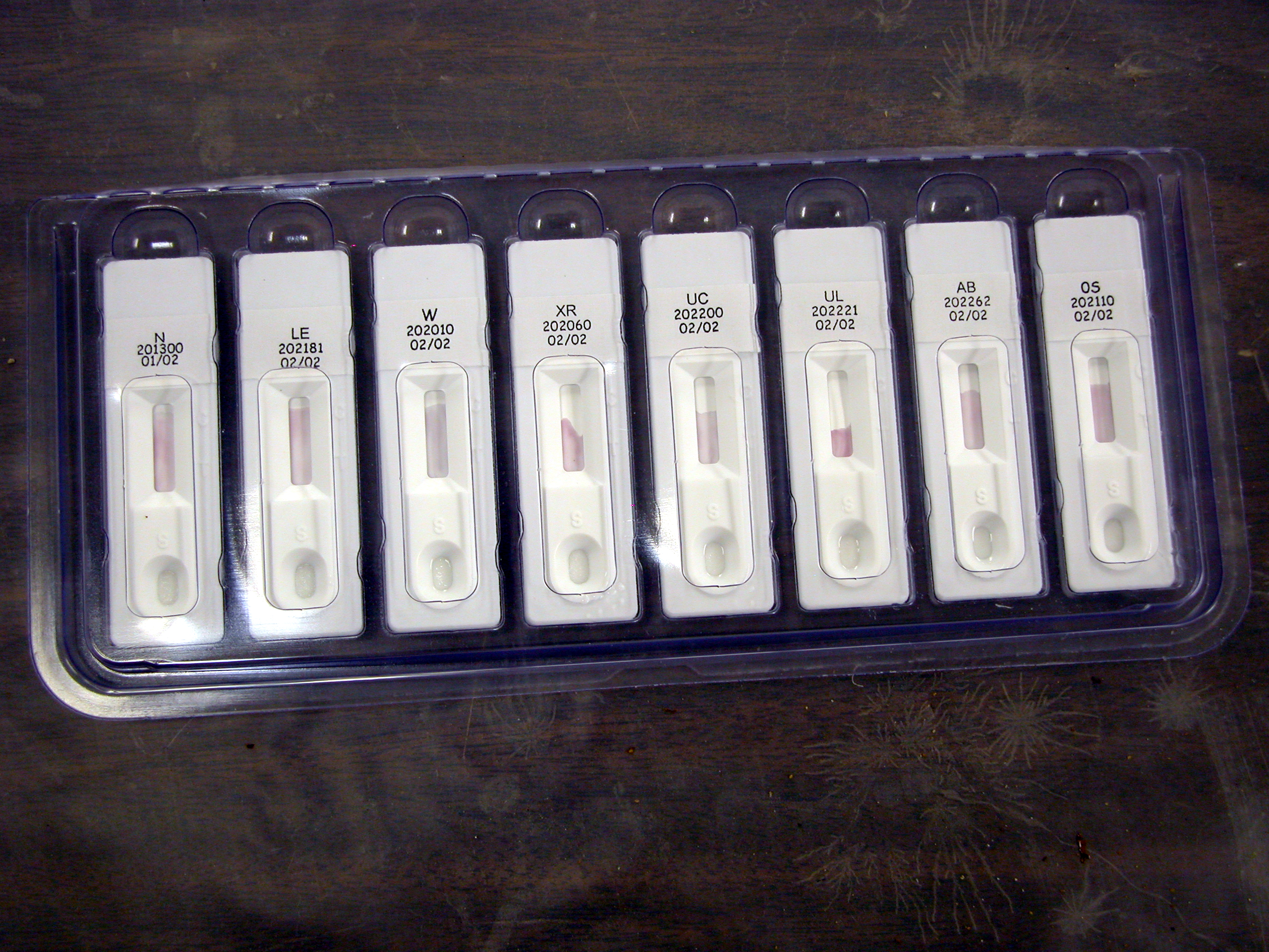 Team tests for weapons of mass destruction > Air Force > Article Display