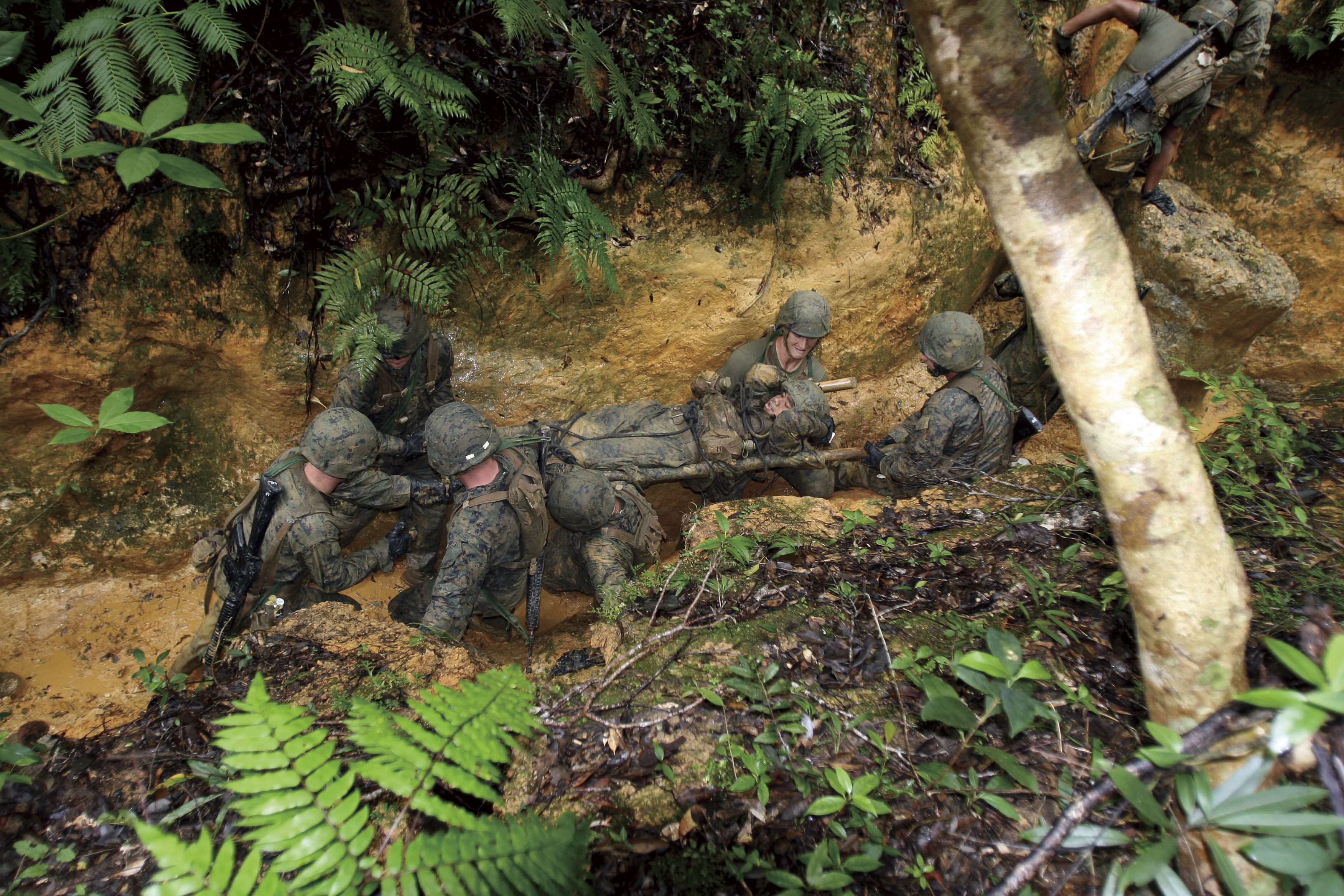 Artillery Marines endure jungle warfare challenge > Marine Corps ...