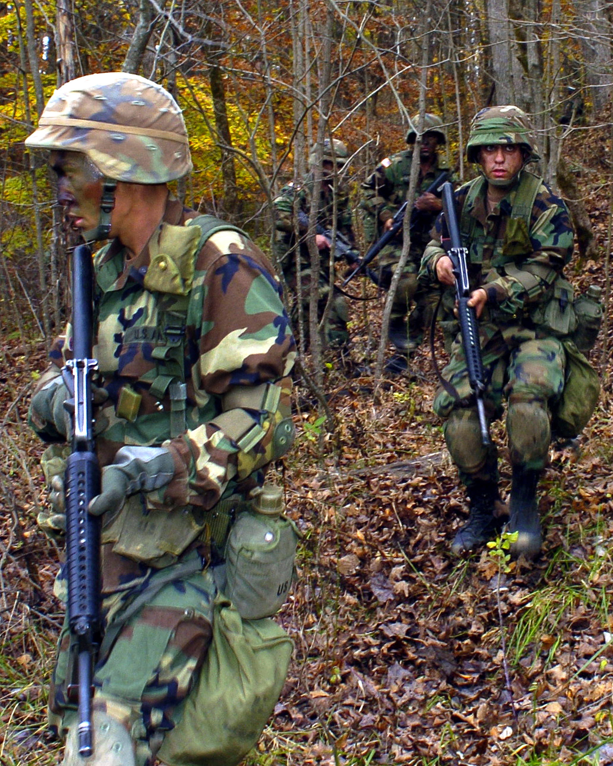 Operation Blue to Green