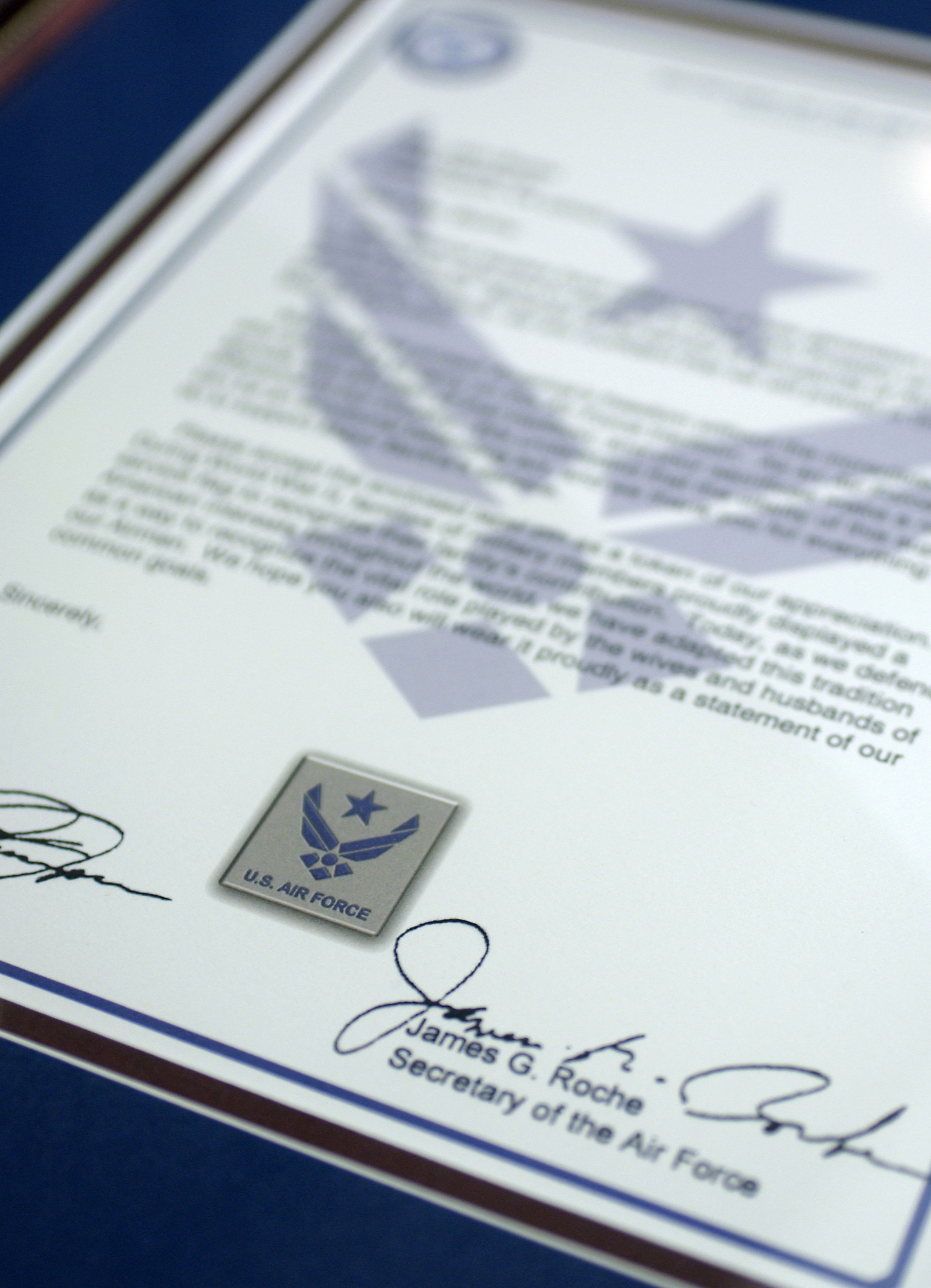 Air Force honors spouses with pin > Air Force > Article Display