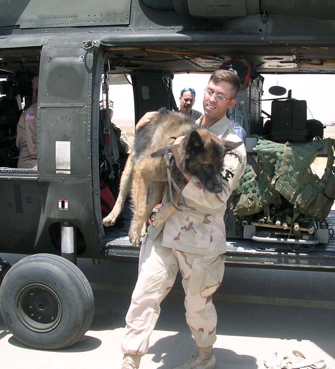 K-9s receive top care in deployed environment > Air Force > Article Display