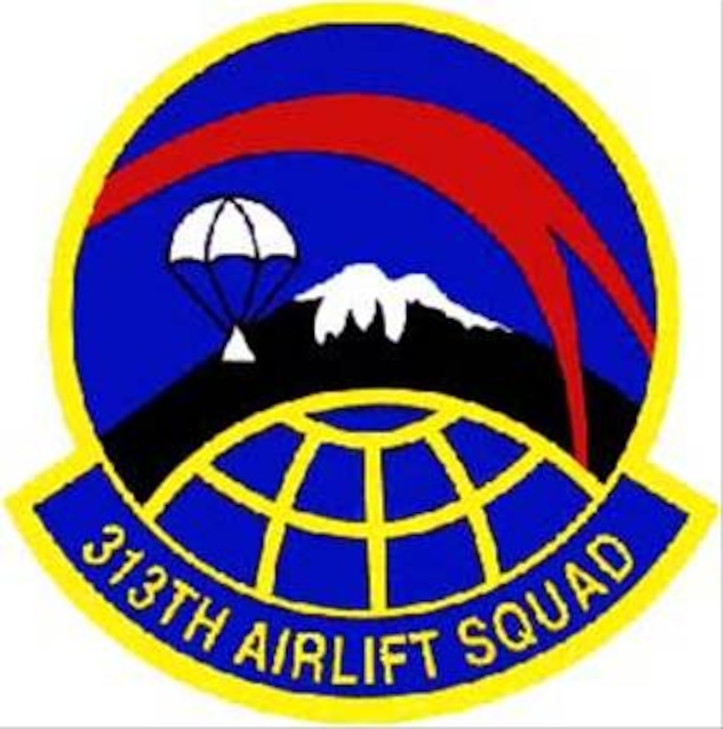 313th AS patch