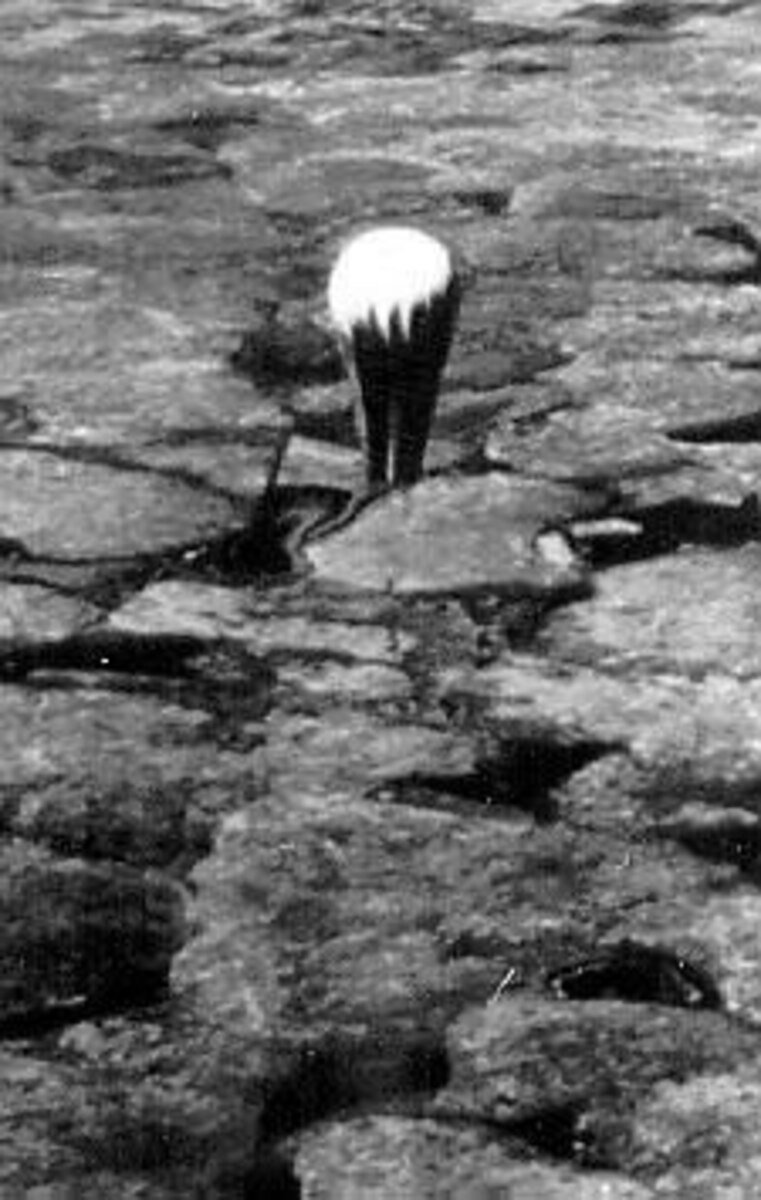 Flights of Explorer I and II > National Museum of the United States Air ...