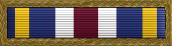 Joint Meritorious Unit Award