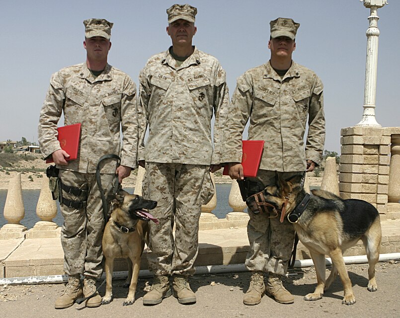 K-9s, handlers awarded for sniffing out insurgents in Fallujah > United ...
