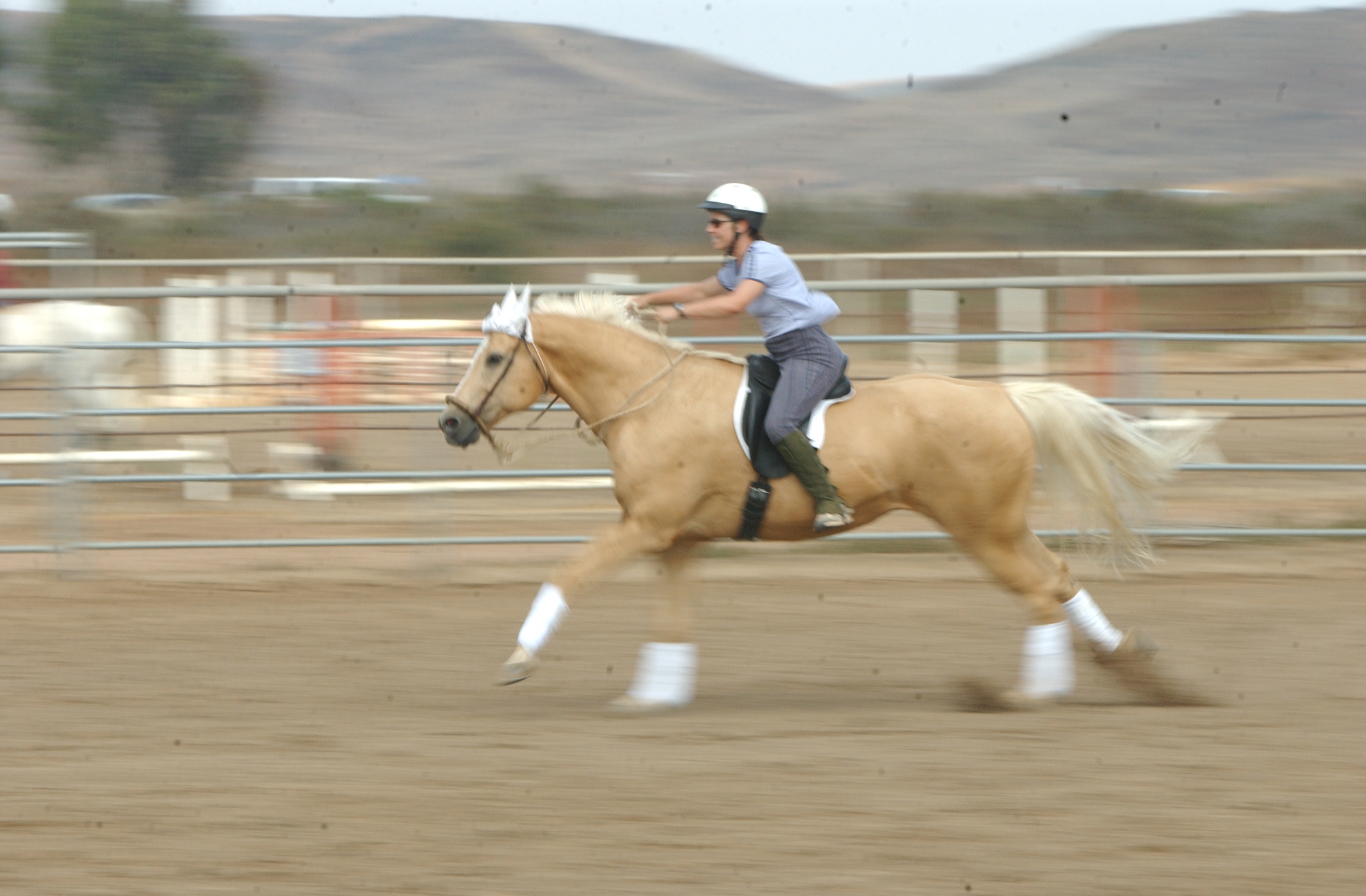 Miramar stables host old-fashioned 'horseplay' > Marine Corps Air ...