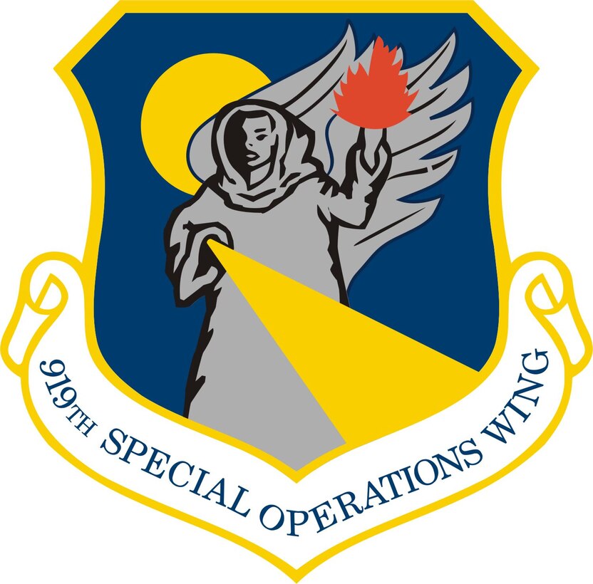 Air Force unit shield