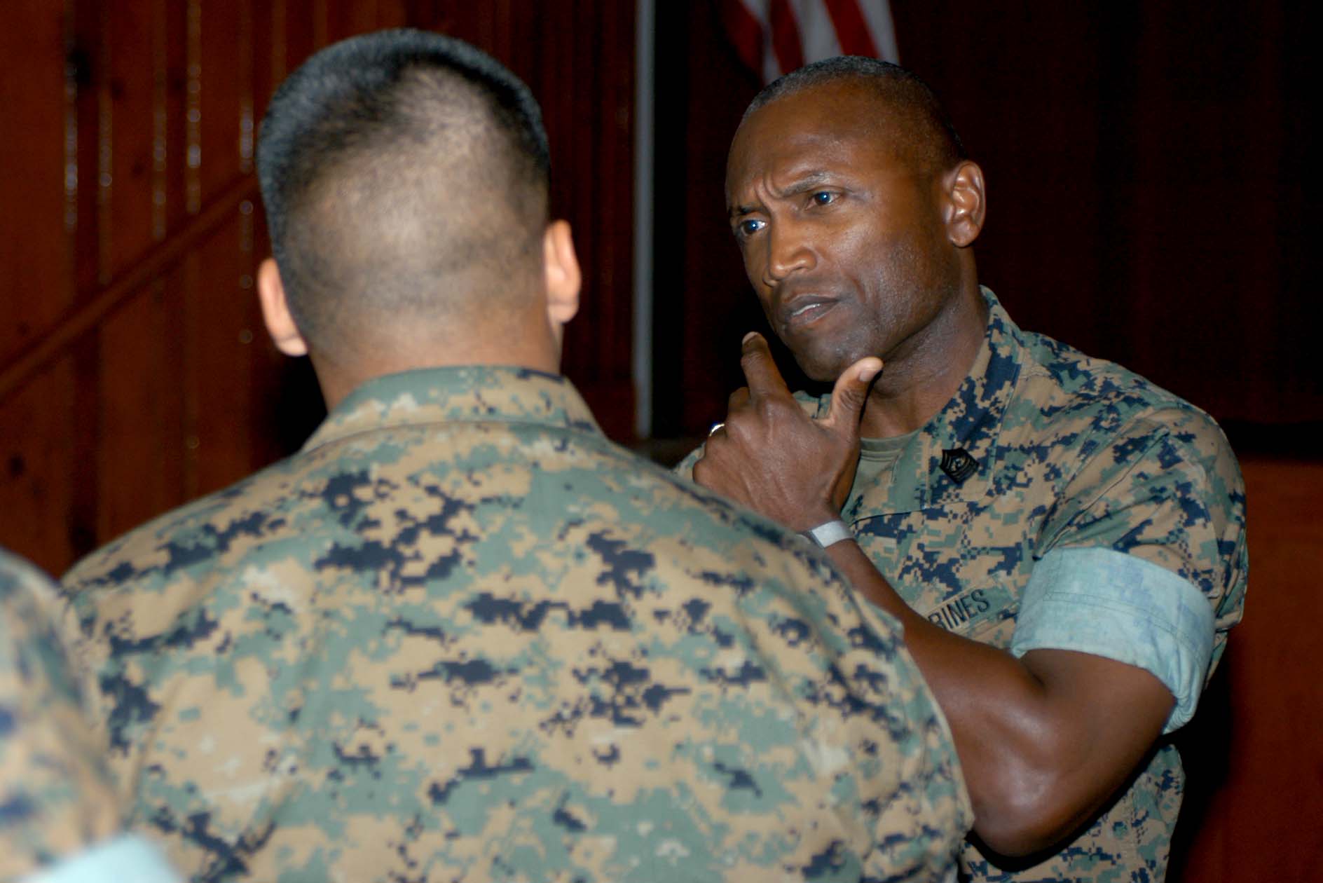 Earning next stripe on merit: meritorious promotion boards test the ...