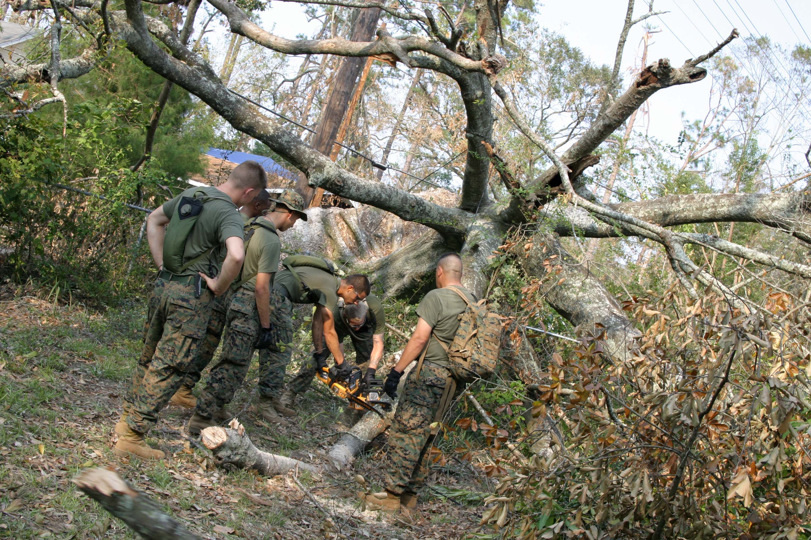 050912-M-8096K-007 | U.S. Department of War