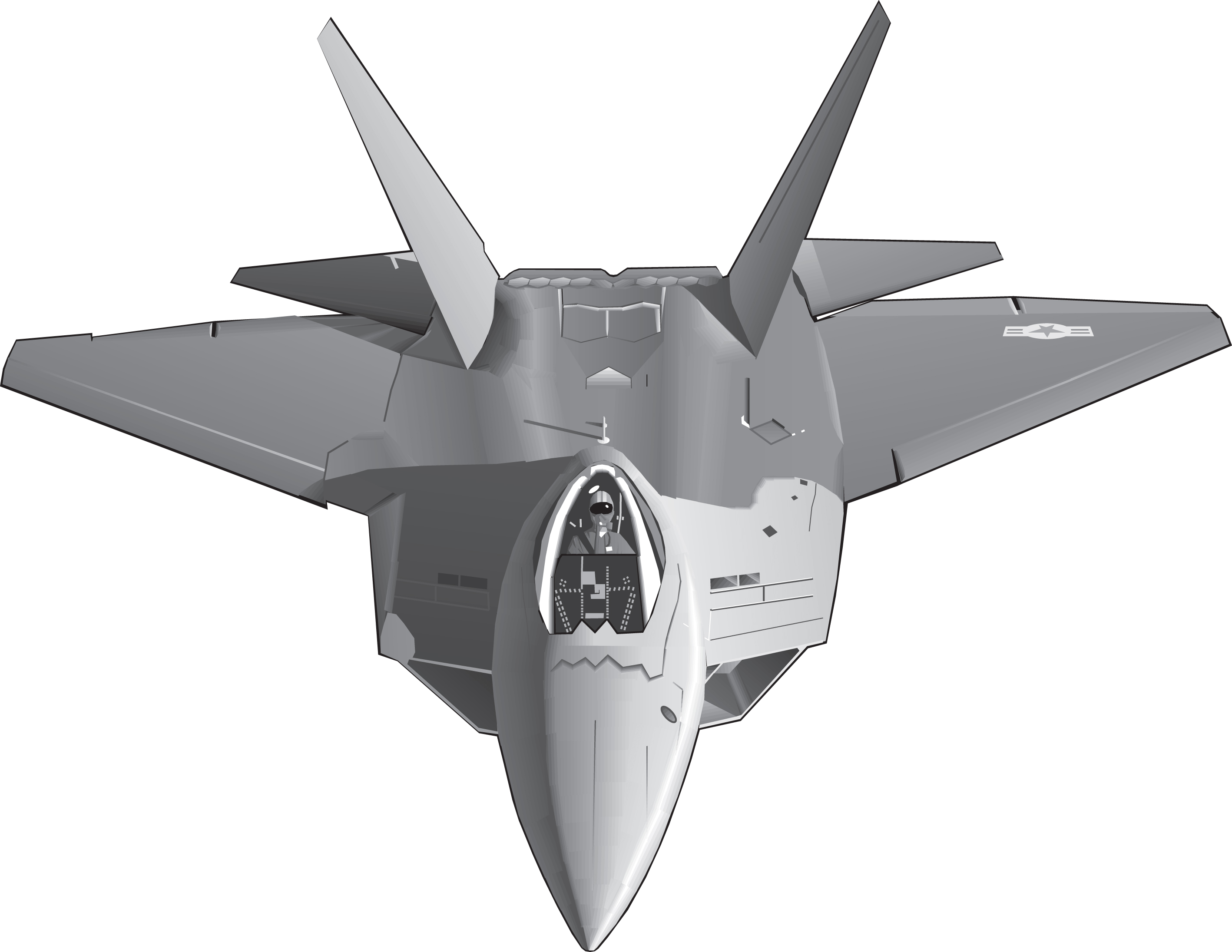 F-22 Raptor Black & White