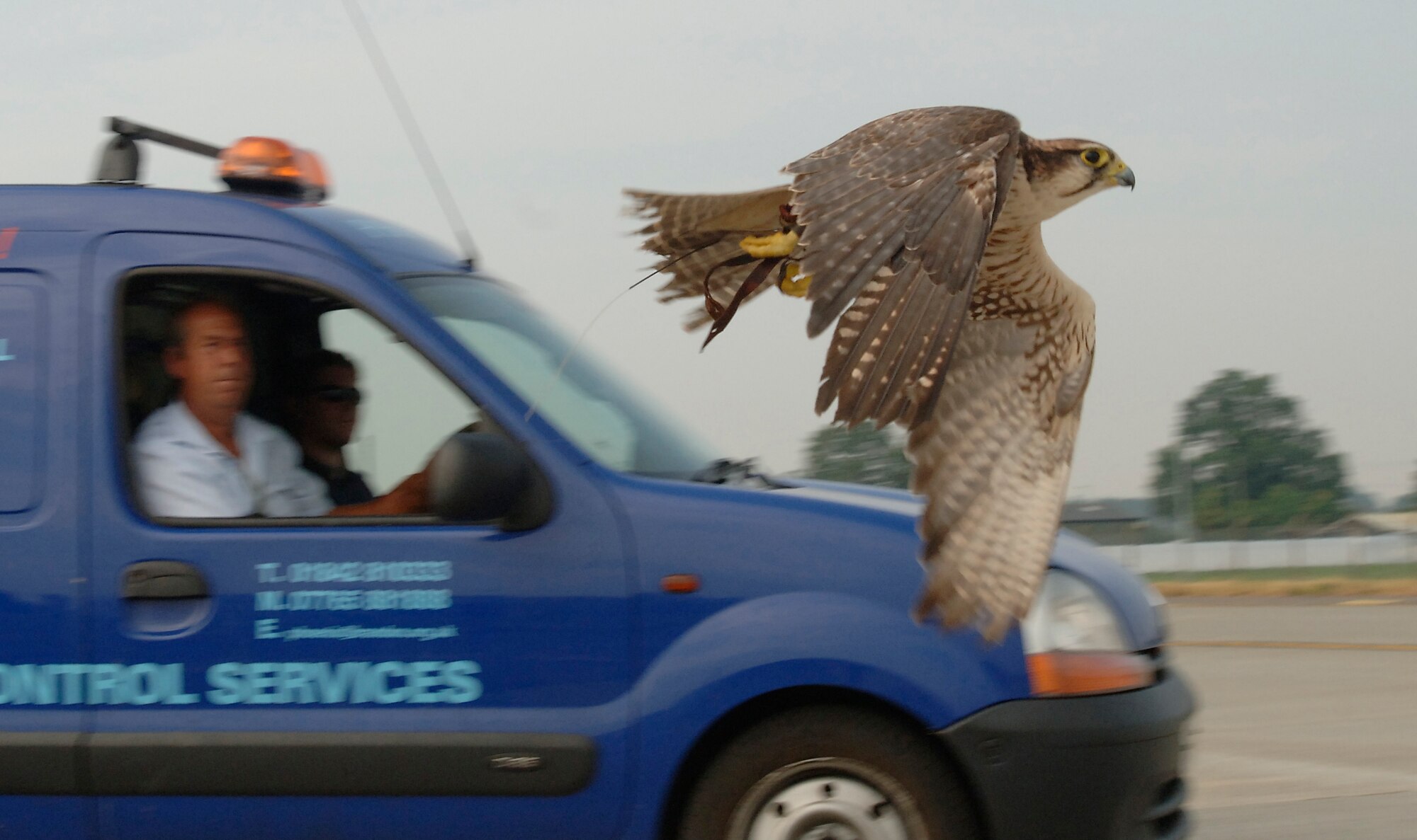 A Bird in hand is better than two in the engines > Royal Air Force ...