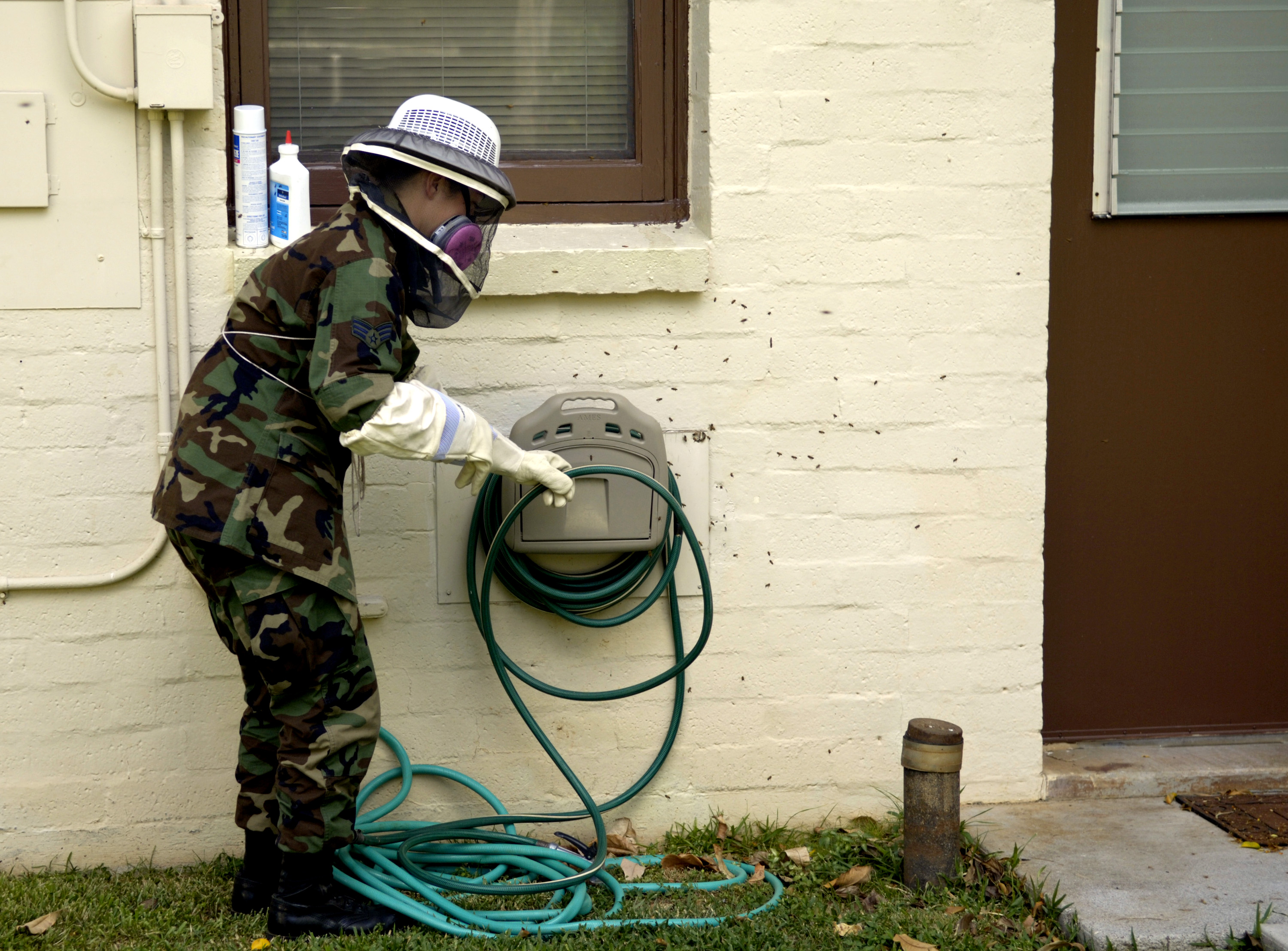 Bee-ing ready > Air Force > Article Display