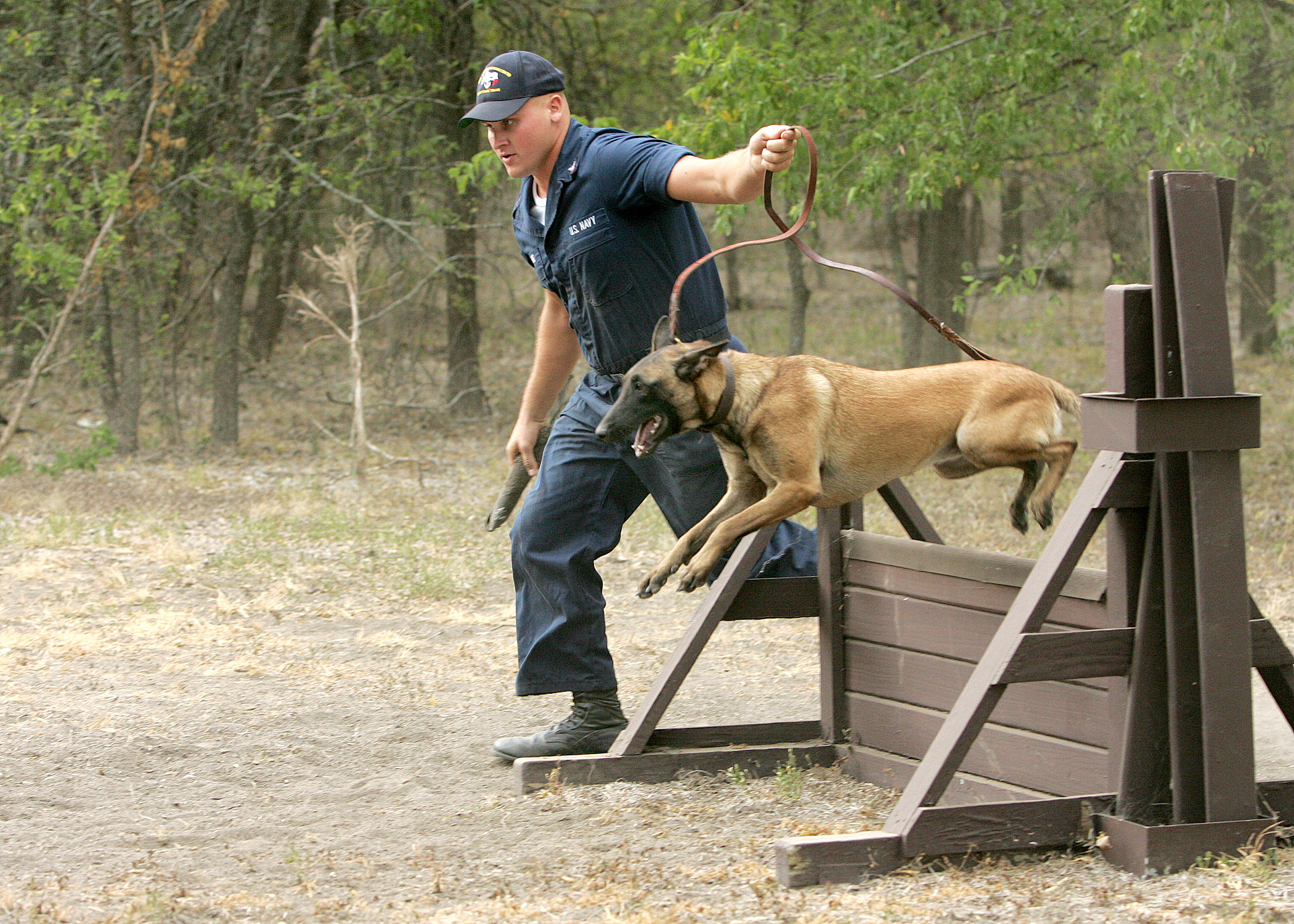 Total Force MWD training