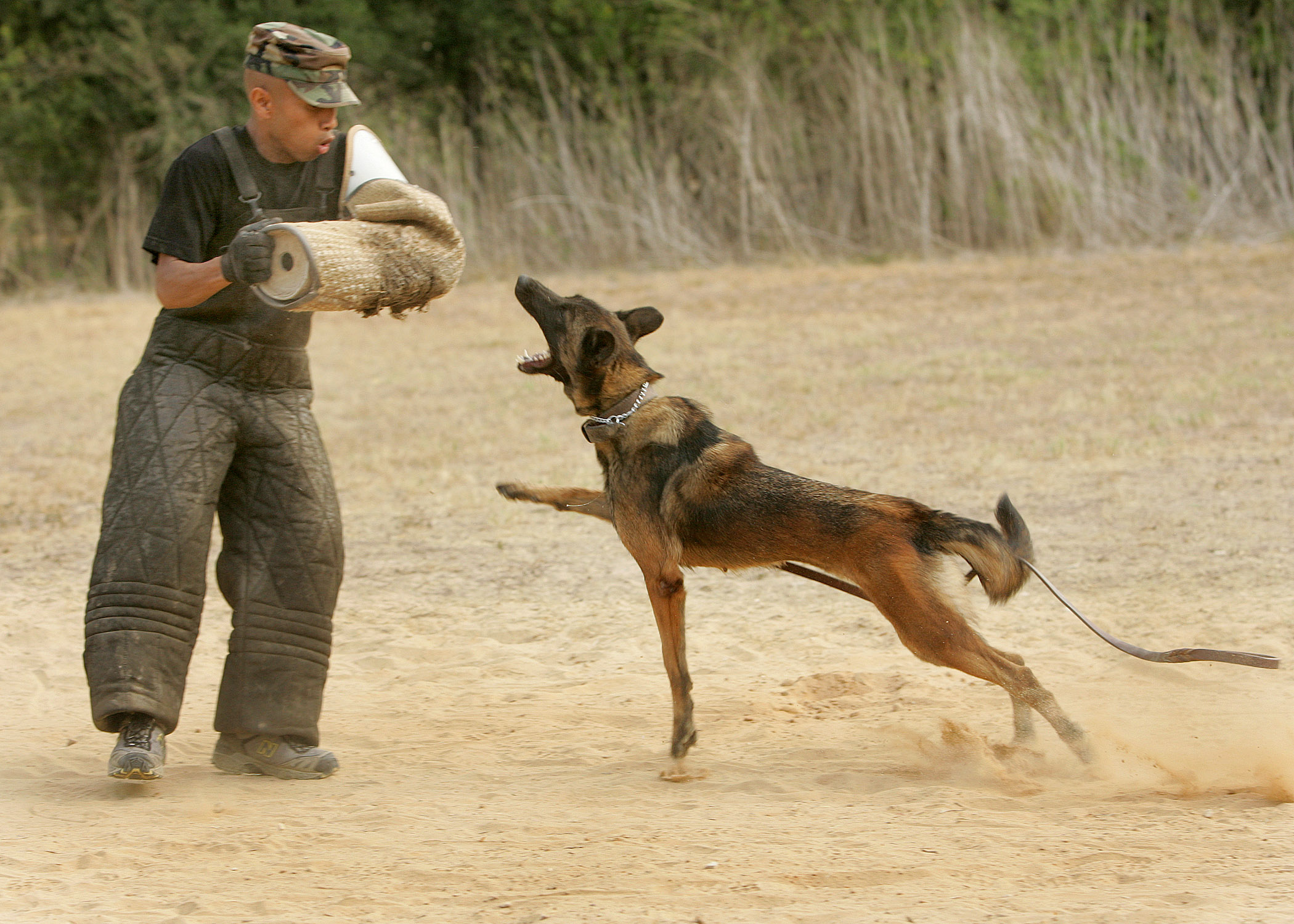 Total Force MWD training