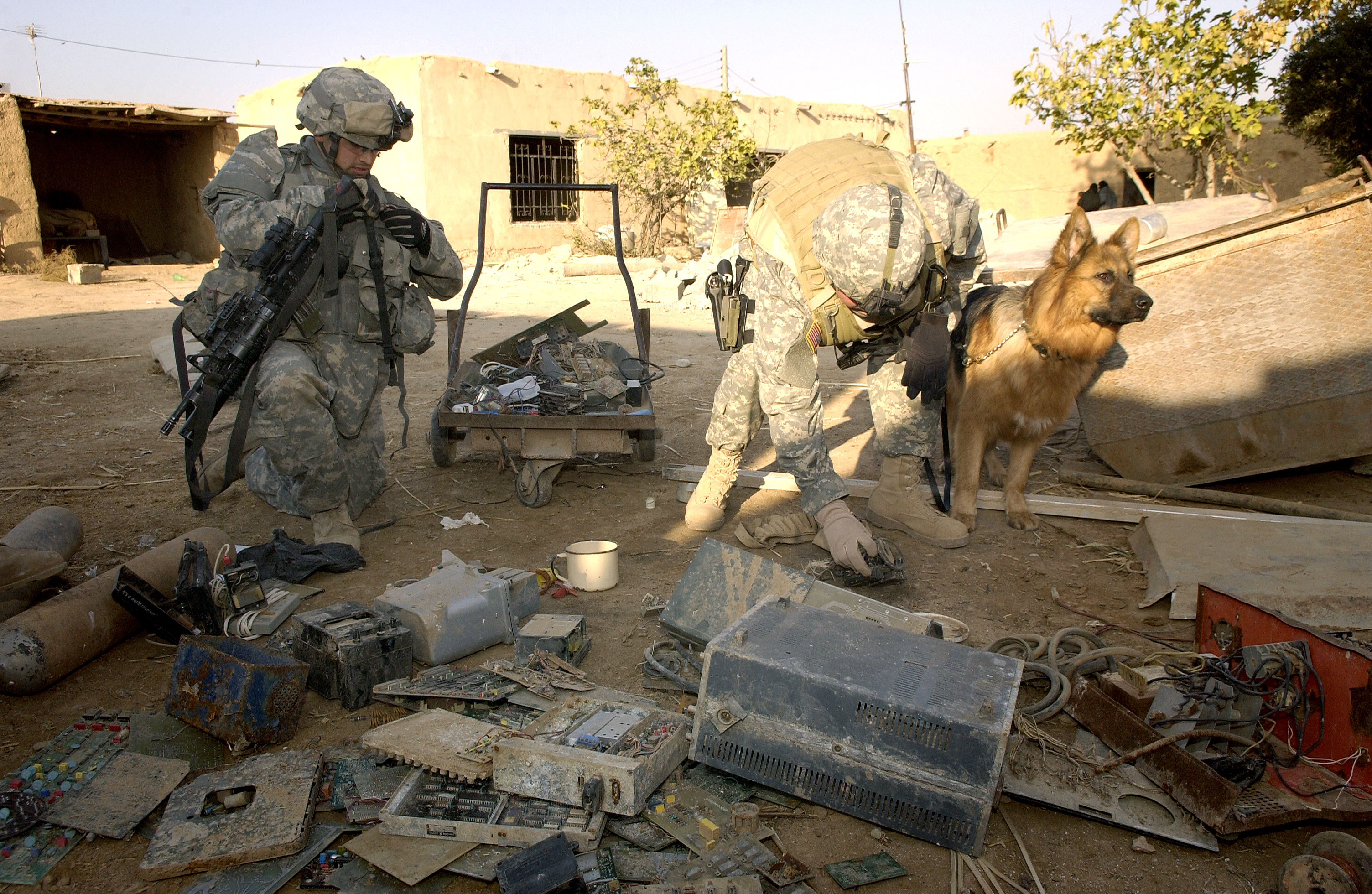 Sniffing out trouble > Air Force > Article Display