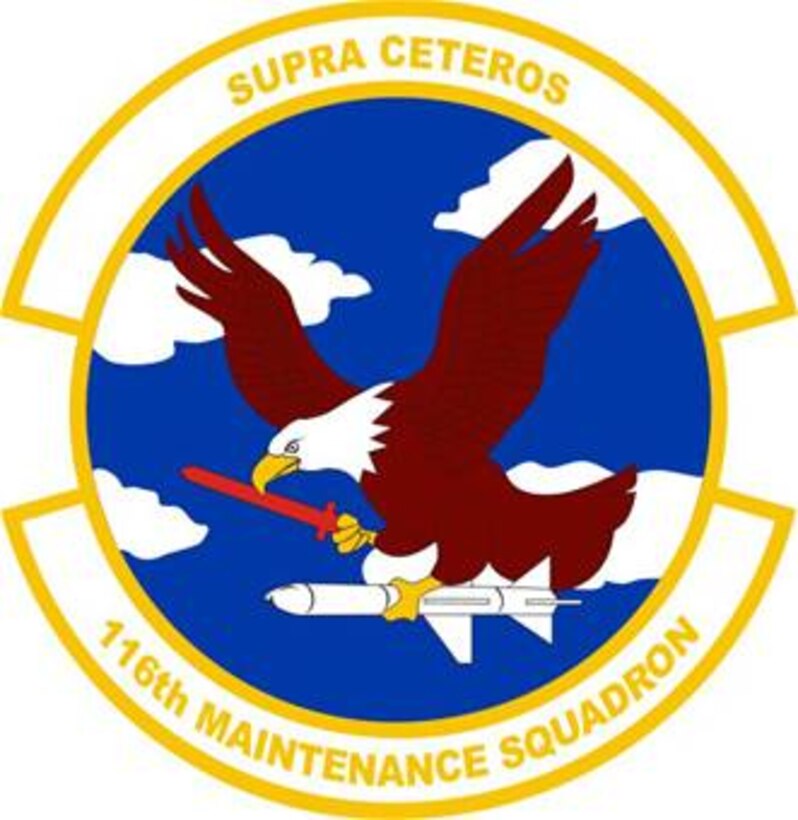 116th Maintenance Squadron patch