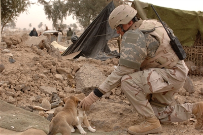 Baghdad Pups | U.S. Department of War