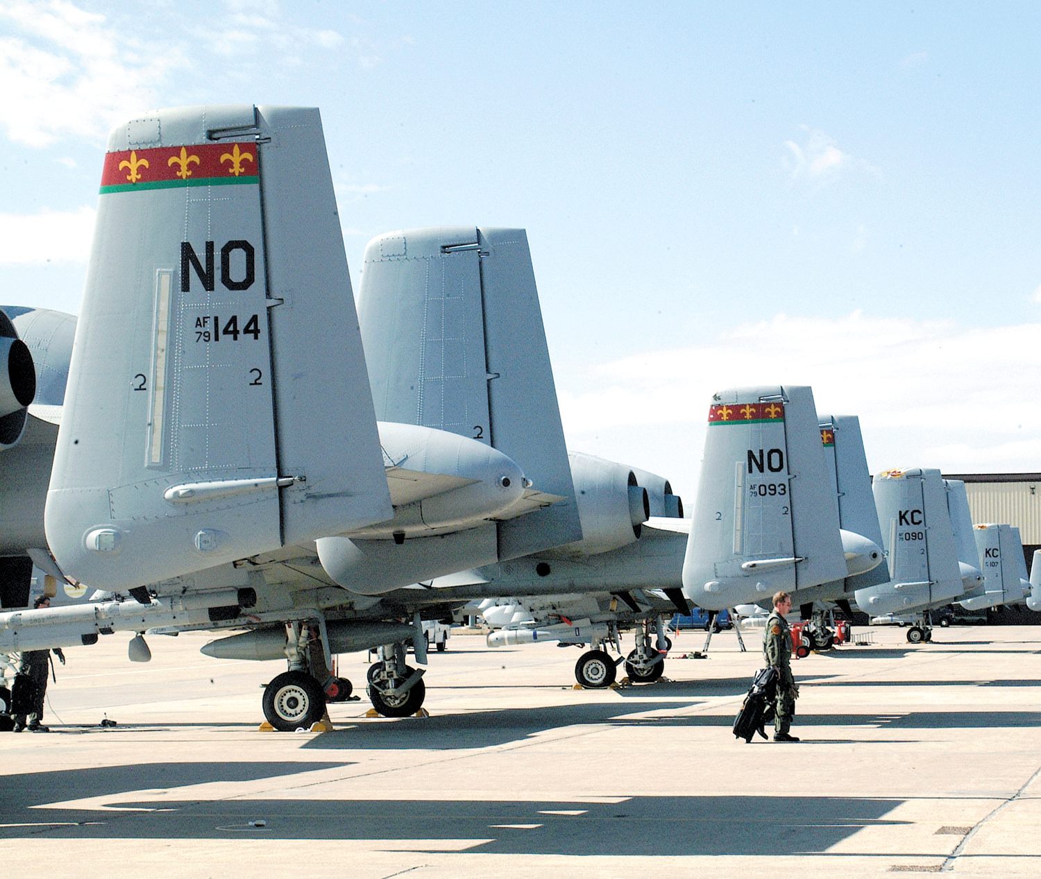 442nd Fighter Wing's newest aircraft