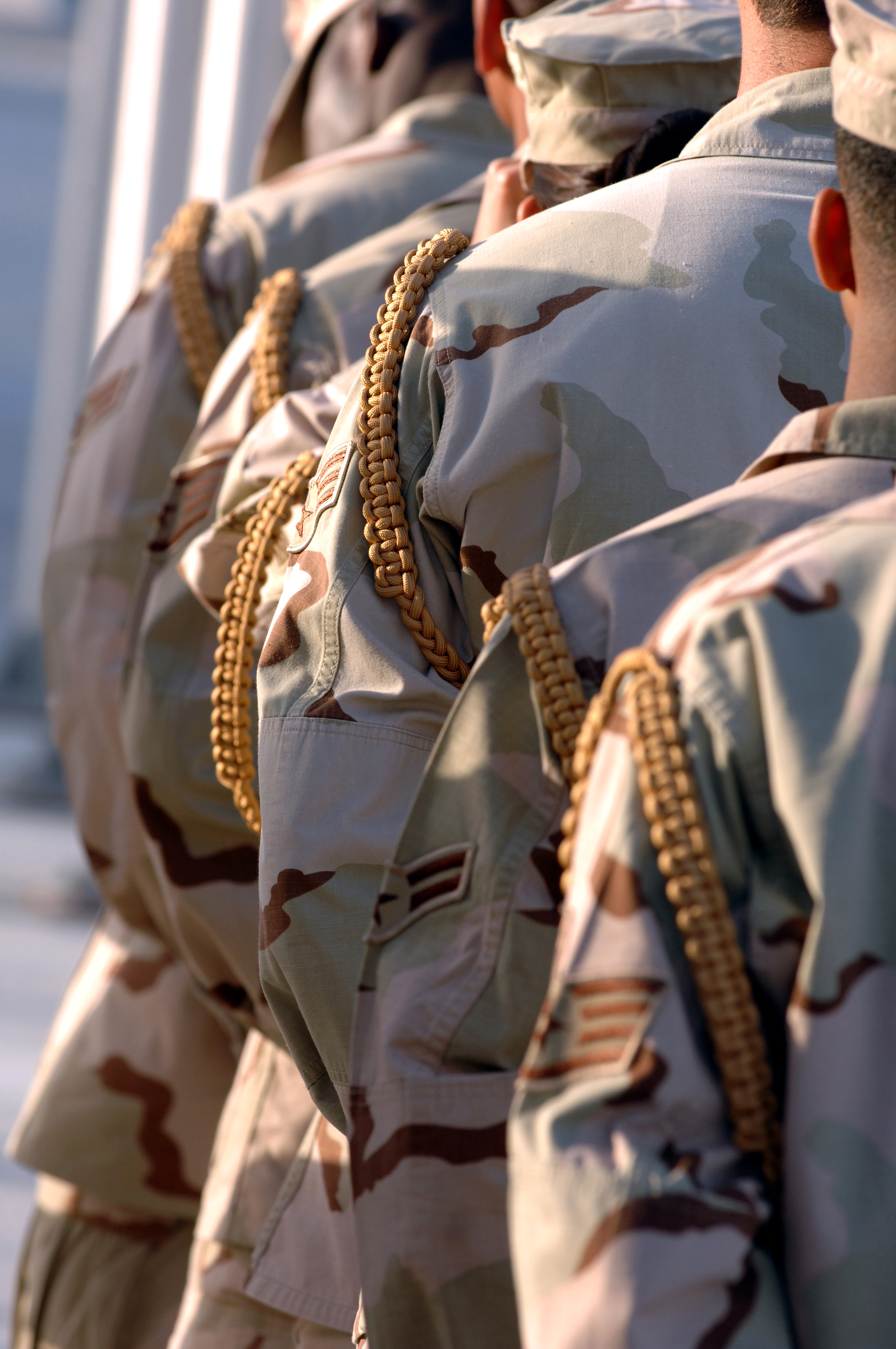 Desert Honor Guard > Air Force > Article Display