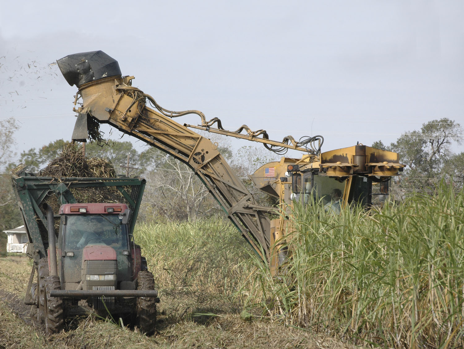 Reservist, his family find sweet success raisin' cane > Air Force > Display