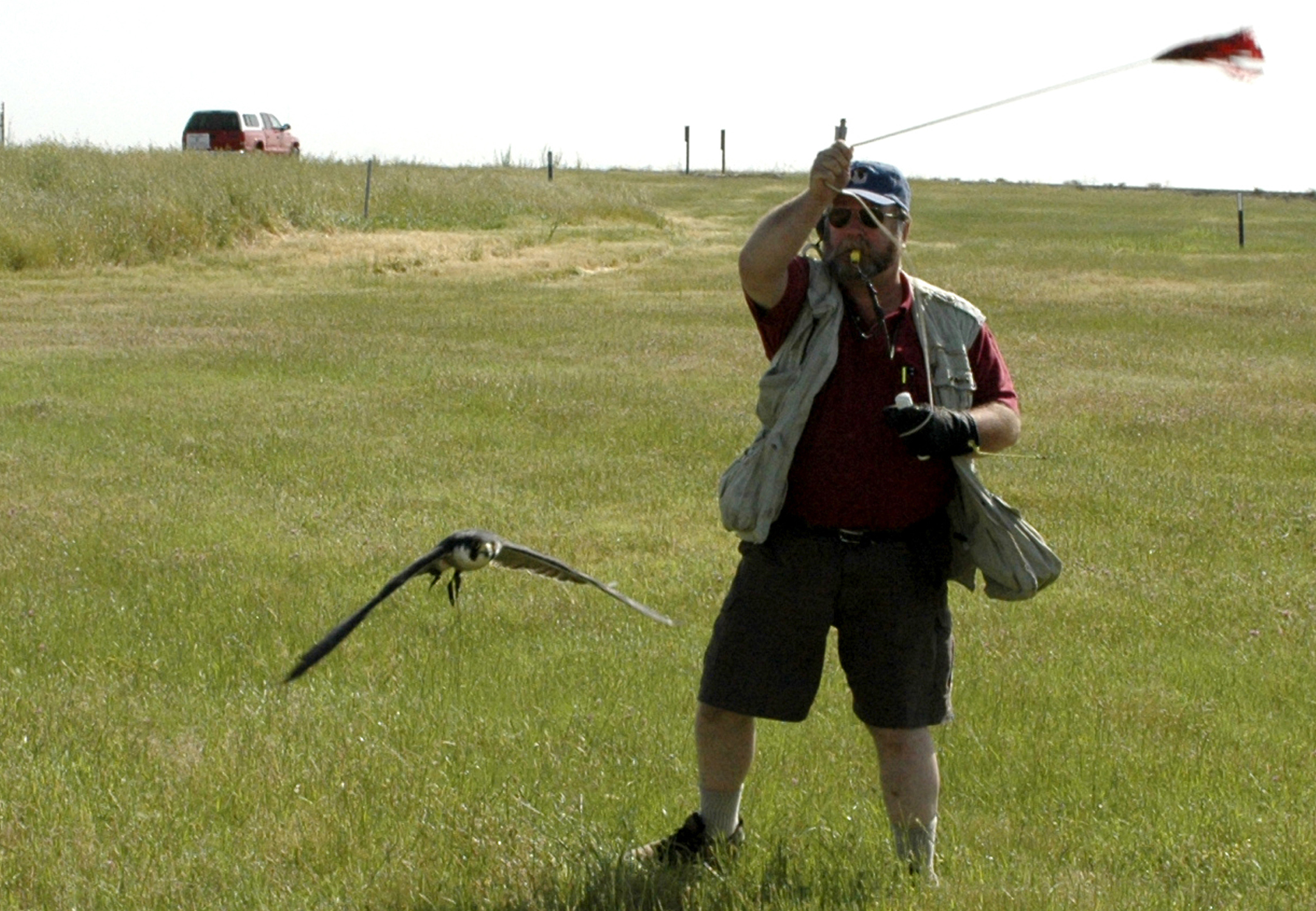BASH program uses teamwork to protect Travis jets from bird strike ...