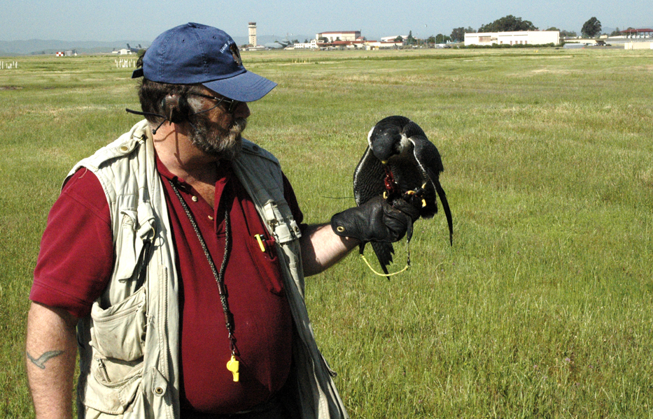 BASH program uses teamwork to protect Travis jets from bird strike ...