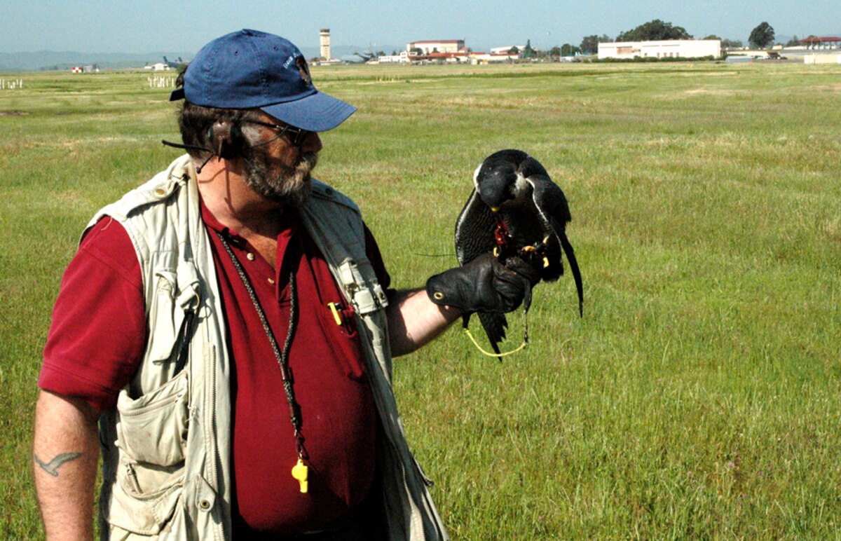 BASH program uses teamwork to protect Travis jets from bird strike ...