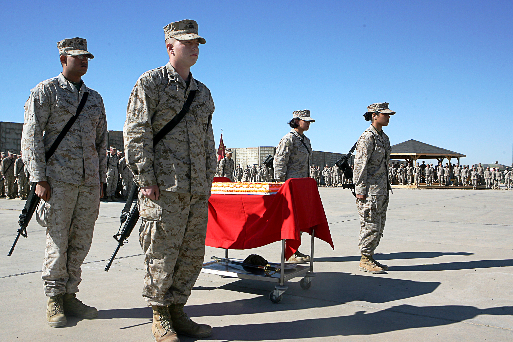 Marine Corps celebrates 231 years of service > 1st Marine Logistics ...