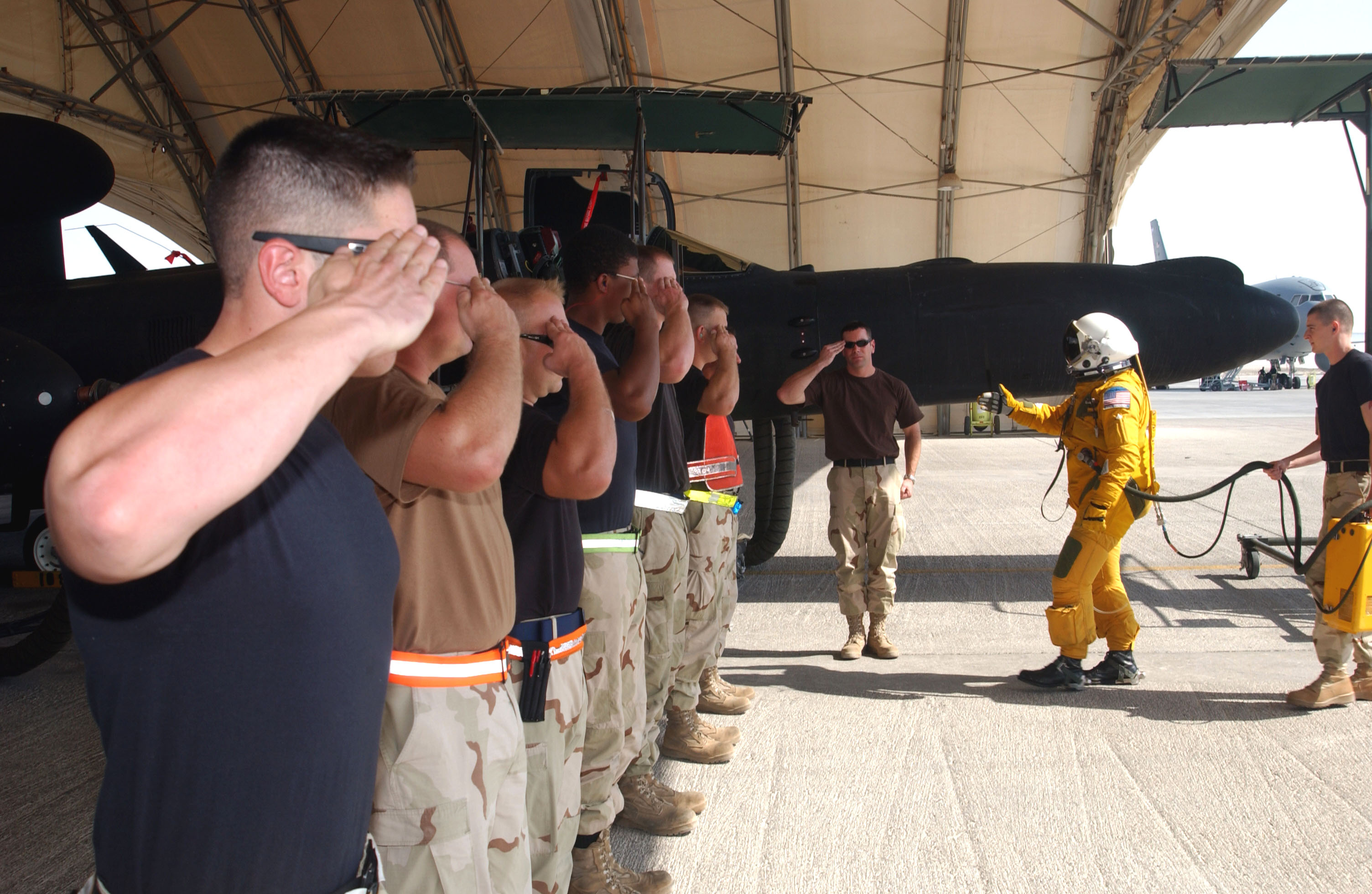 Flying high > Air Force > Article Display