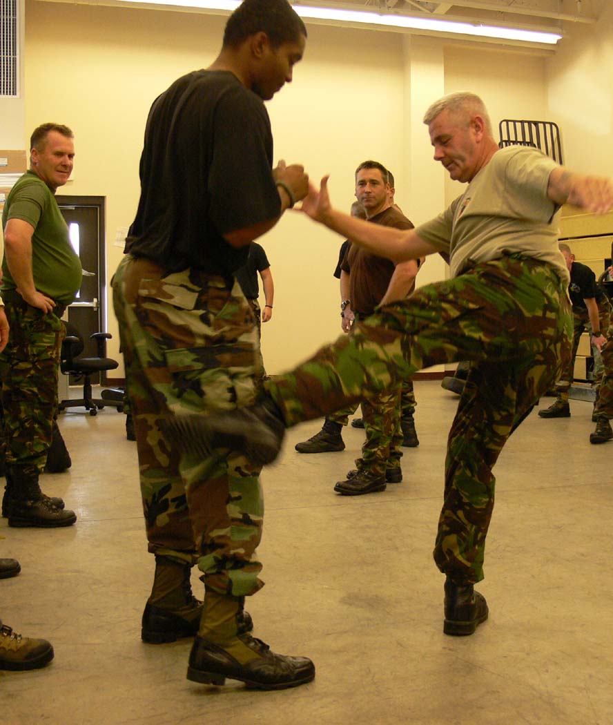 RAF shares knowledge with 820th SFG