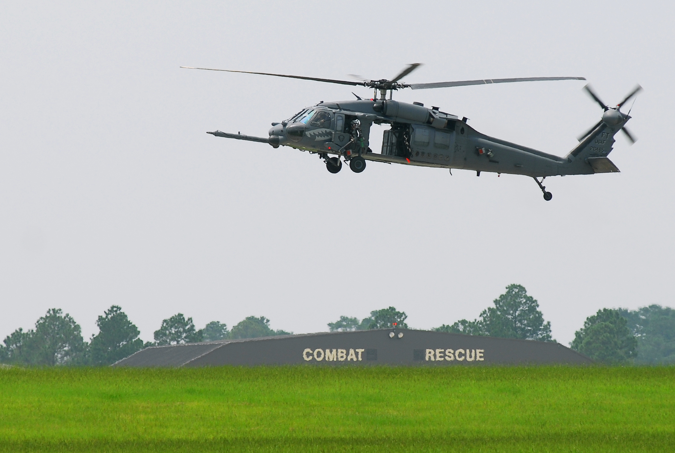 Flying Tiger > Air Combat Command > Article Display