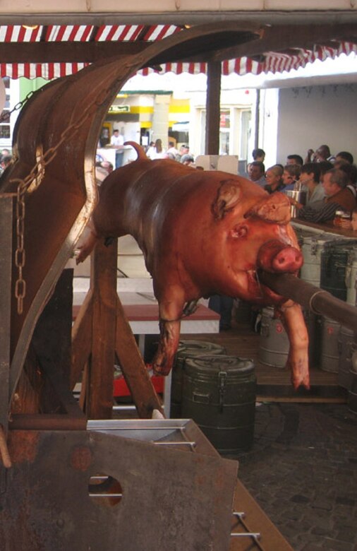 Pig Fest > Spangdahlem Air Base > Article Display