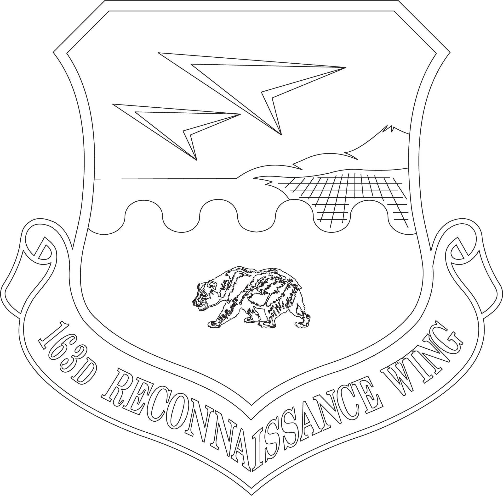 163d Reconnaissance Wing Shield (Black & White)