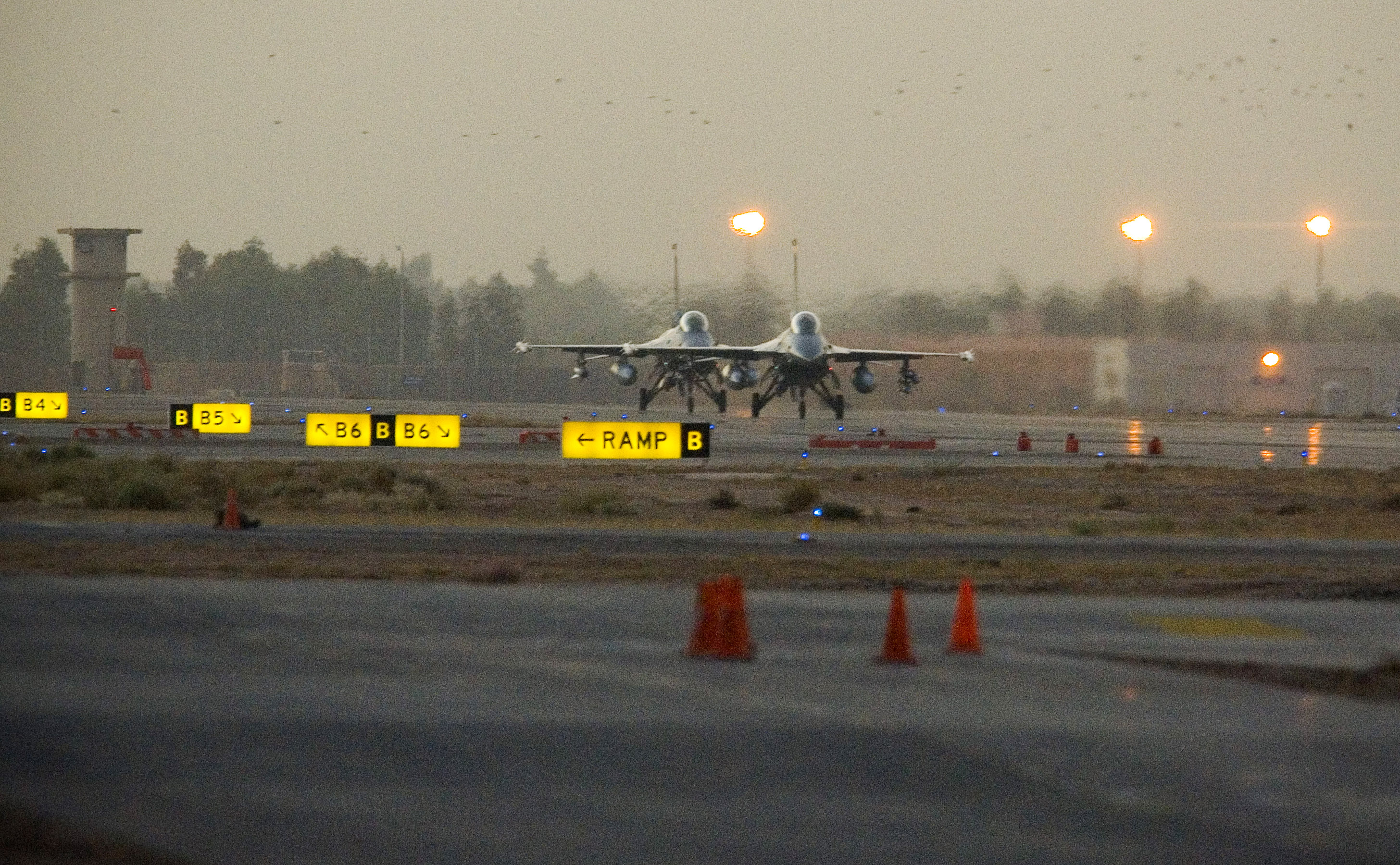 Flight safety office brings Balad bird strikes down 30 percent > Air ...