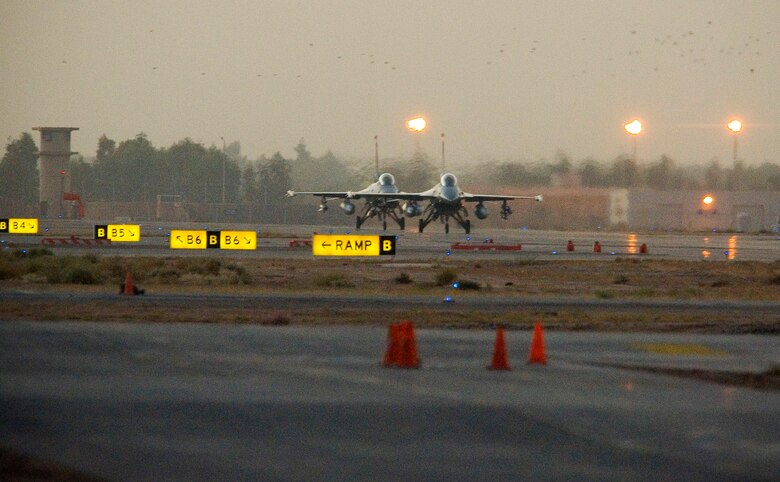 Flight safety office brings Balad bird strikes down 30 percent > U.S ...