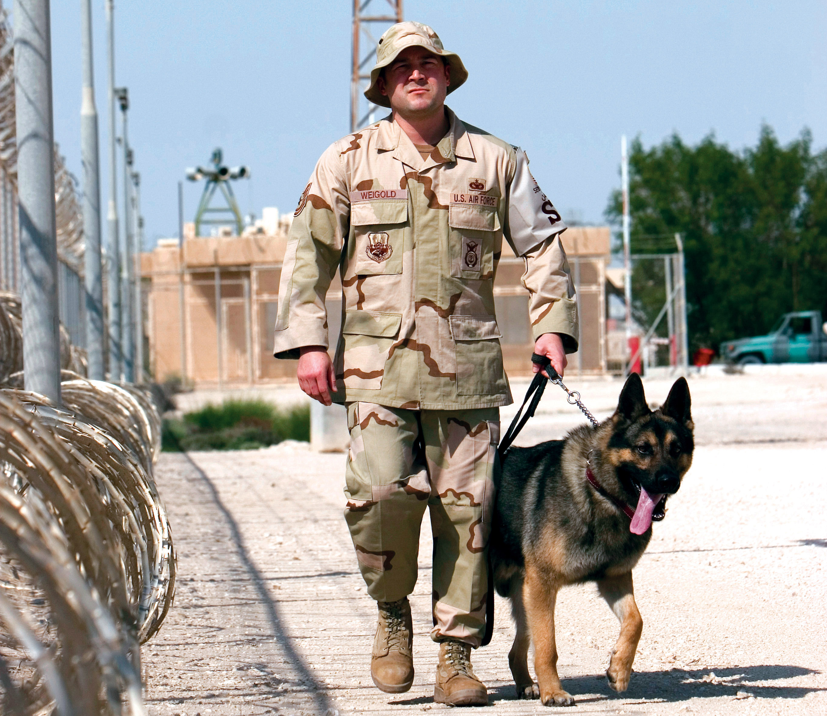 Working dog teams search, patrol together > Air Force > Article Display