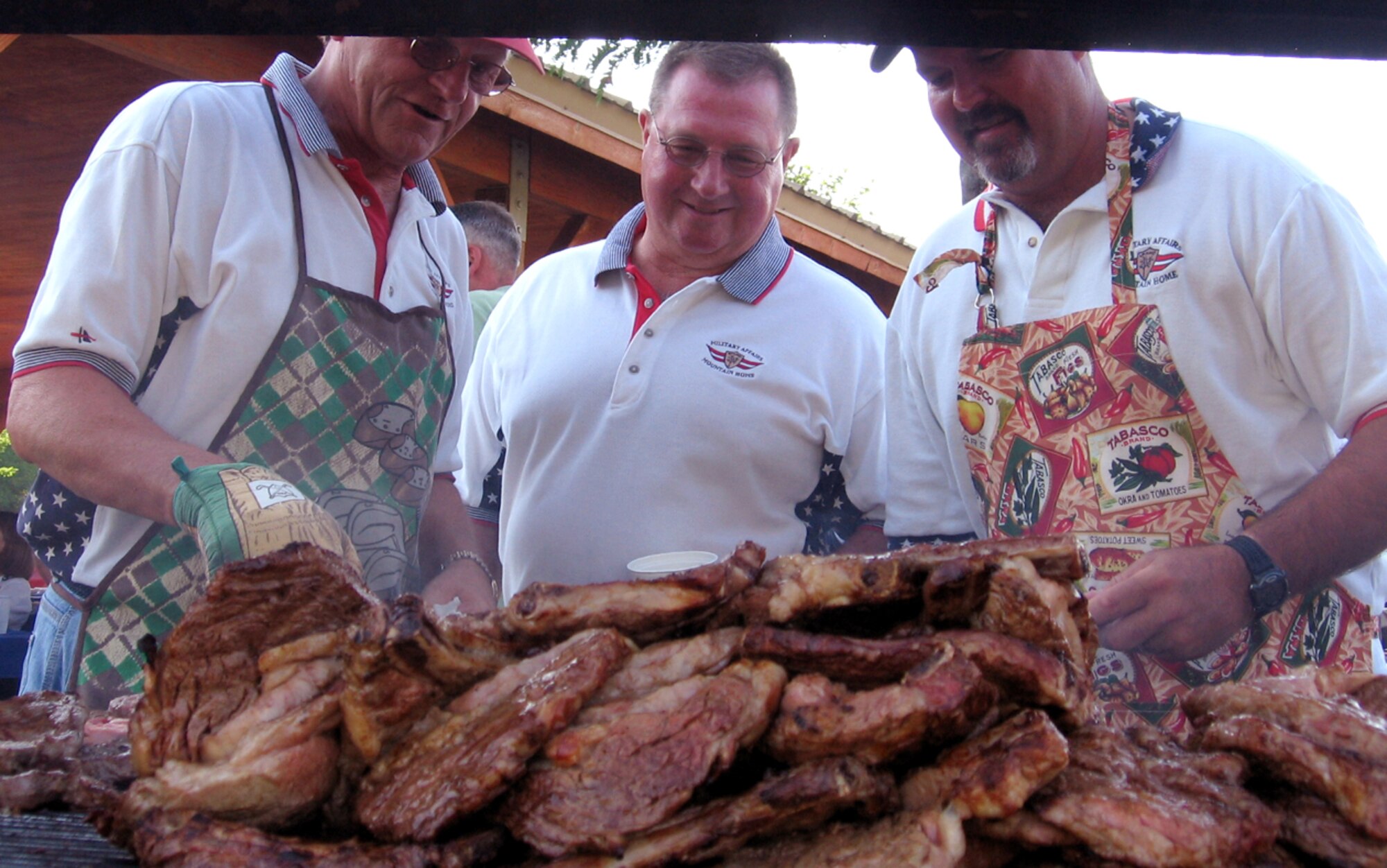 Military Affairs Committee hosts commander's picnic > Mountain Home Air ...