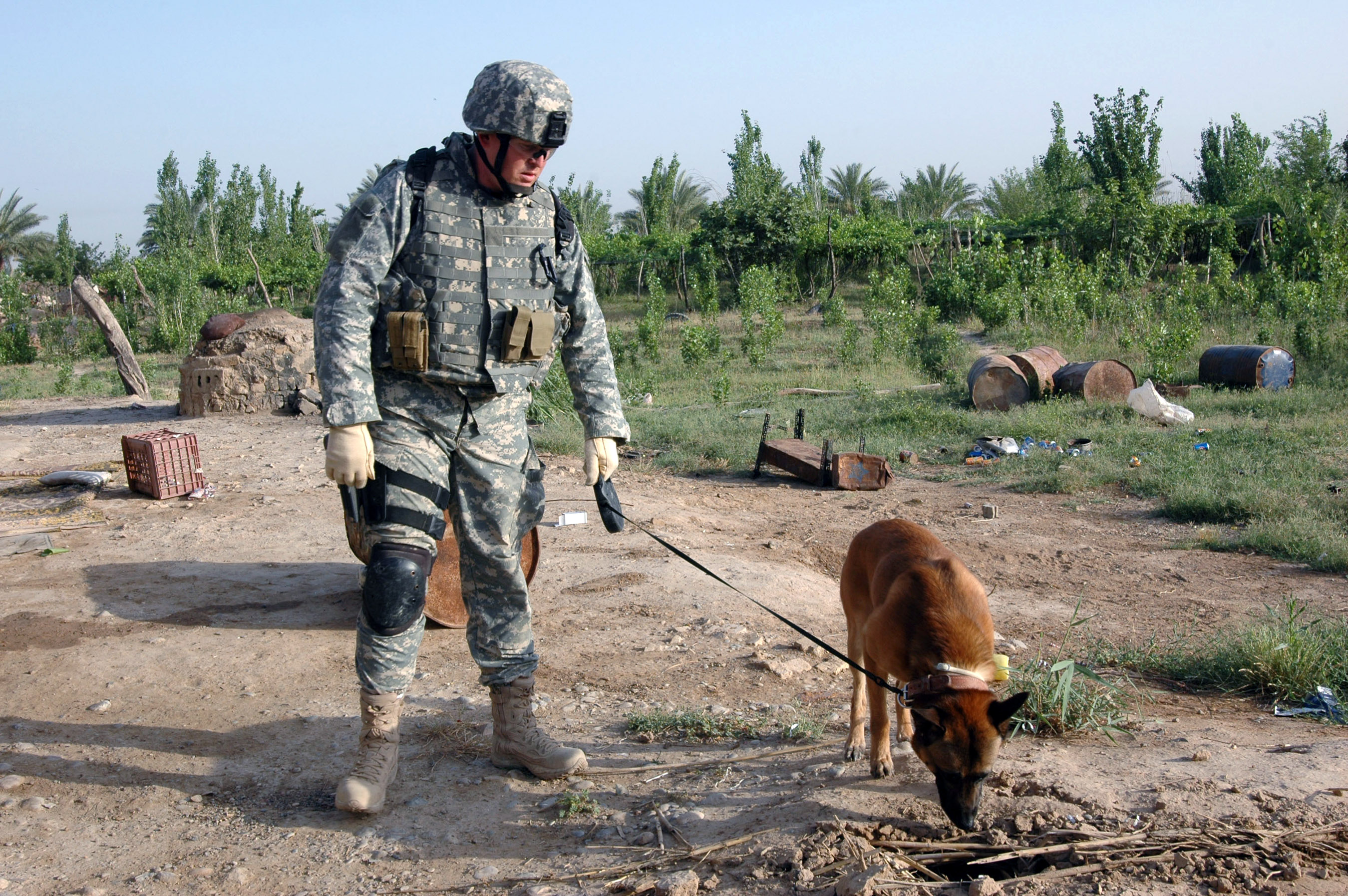 Military working dogs bring bite to fight > Air Force > Display